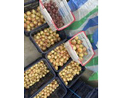 Joy World｜姫路作業所連絡会